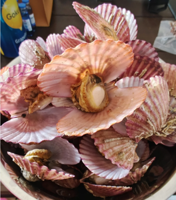 A Practical and Comprehensive Introduction to Scallops (add some bay ...