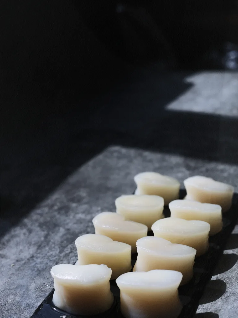 Pen Shell Scallop |Callo de Acha | Tairagai | 平貝 | 공급 키조개 ...